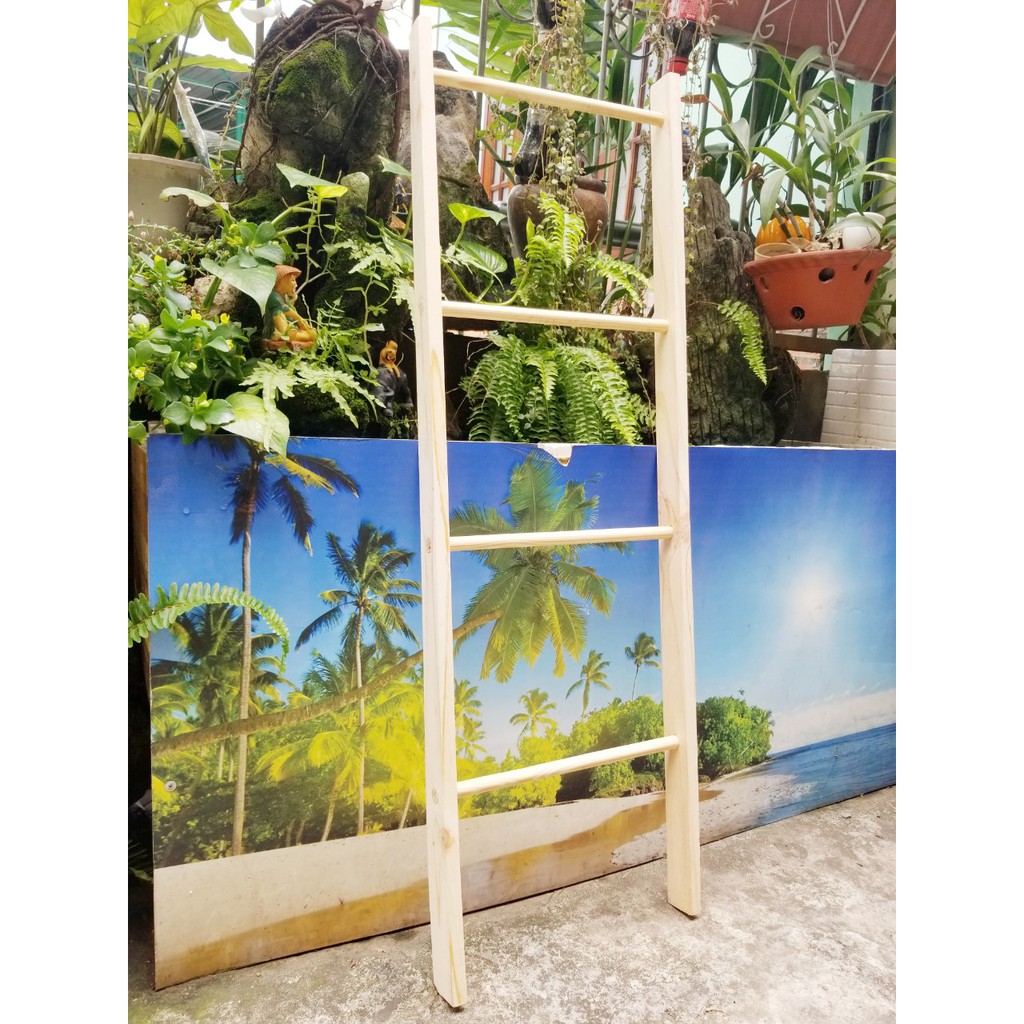 Thang gỗ decor, trang trí nhà, treo quần áo, , thang gỗ thông tự nhiên ...