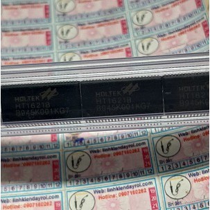 2 cái IC màn hình Micro HT1621 1621B HT1621B SSOP48 chính hãng HOLTEK | Shopee Việt Nam