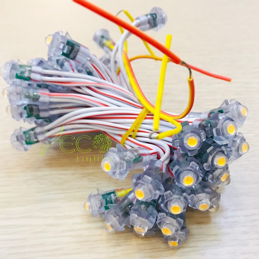 LED Đúc 12V F5 9mm dài 3m chống nước (3m/dây 50 mắt led)-ánh sáng vàng ...