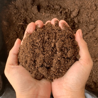 Rêu than bùn peatmoss, Peatman-đất trồng và ươm cây tốt nhất châu Âu ...