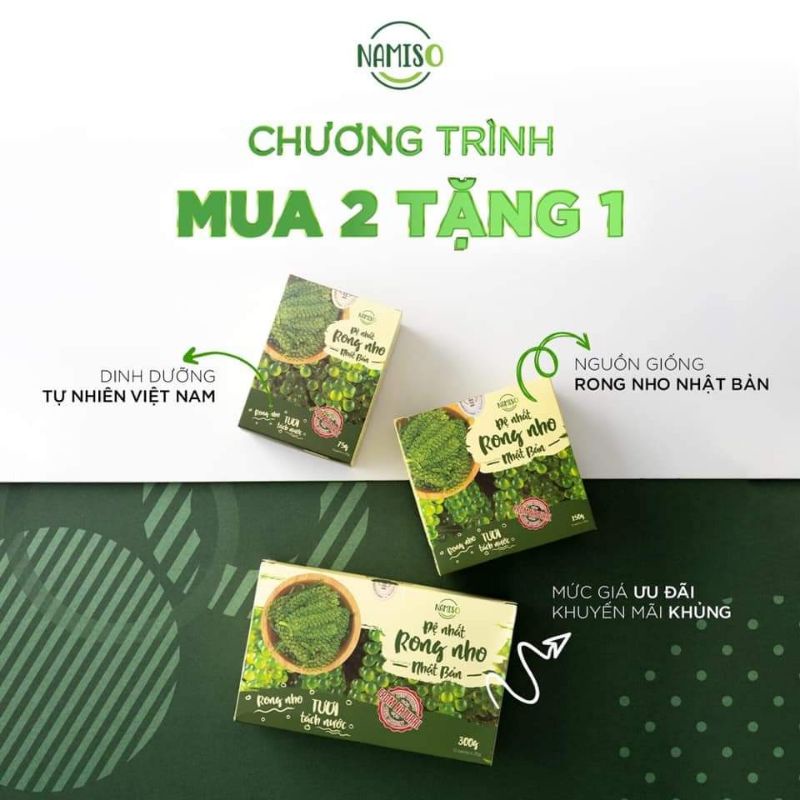 Rong Nho Biển Namiso | Shopee Việt Nam