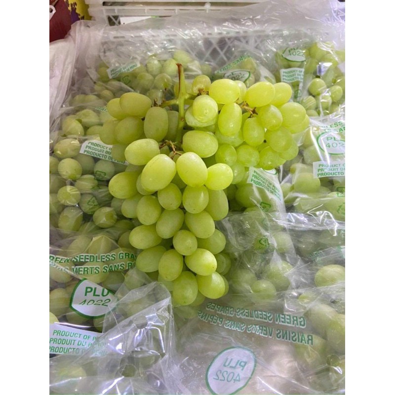 Nho xanh không hạt Peru (1kg) - Hàng cont (đầu mùa) | Shopee Việt Nam