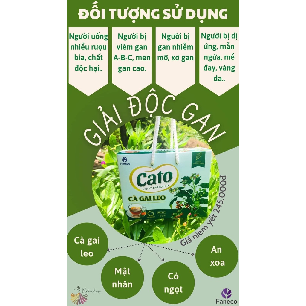 Cao Cà Gai Leo Cato - FANECO (Hộp 39 Gói x 5Gr/Gói) | Shopee Việt Nam