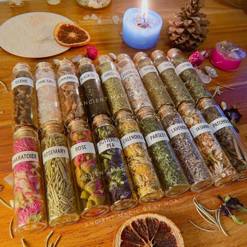 (40 loại) LỌ THẢO MỘC WITCHCRAFT | Lọ hoa khô trang trí - Handmade ...