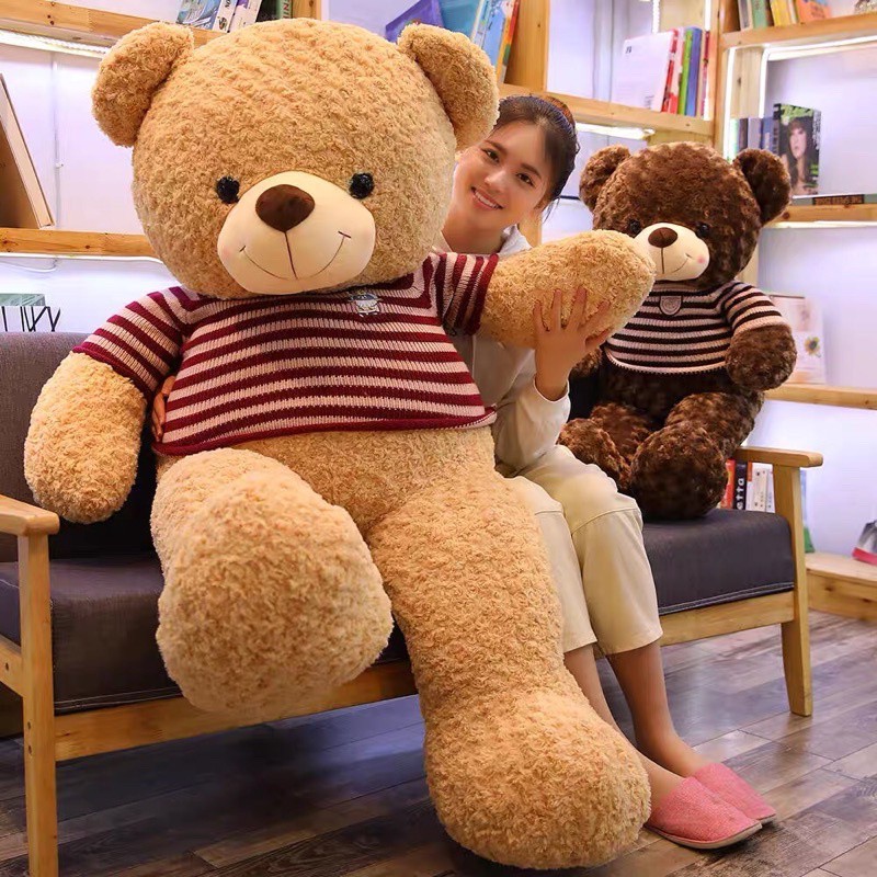 Gấu Bông Teddy - Gấu Bông To, Gối Ôm Hình Thú Teddy Nâu Bự Khổng Lồ ...