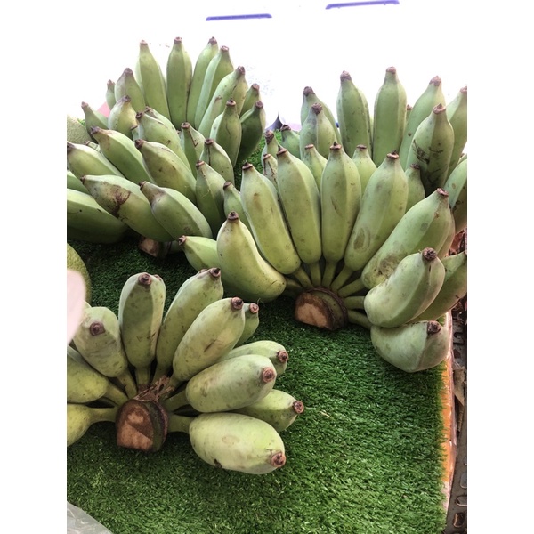 chuối Sim Bến Tre, nải từ 1,2kg đến 1,4kg ( giao siêu tốc Tphcm ...