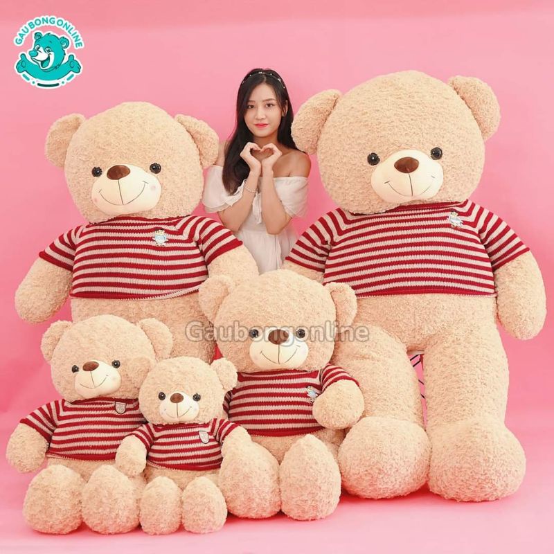 [Bán Chạy] Gấu bông cao cấp ️ Teddy socola kem ️ lông xoắn hoa hồng mịn ...