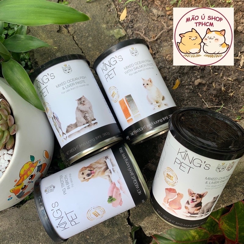 PATE KINGPET / KING’S PET - PATE CHO CHÓ - MÈO CON TỪ 1 THÁNG TUỔI ...