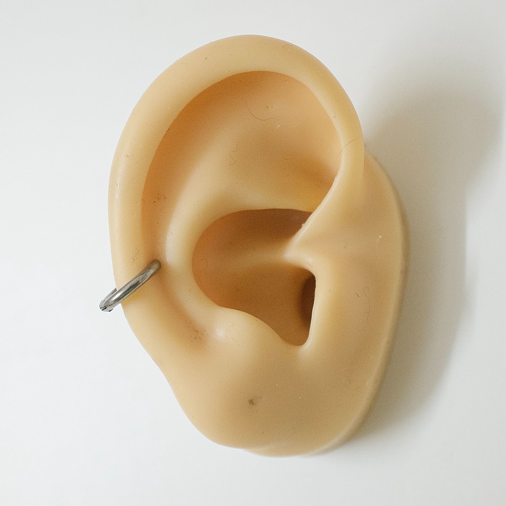 [1 CHIẾC]Khuyên Tai Tròn Hoop Nhiều Size Dày 1.6MM [SIÊU MỎNG] Unisex ...