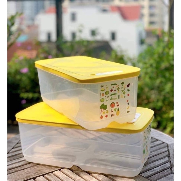 Hộp trữ mát Tupperware Ventsmart 6.1L - Hàng chính hãng | Shopee Việt Nam