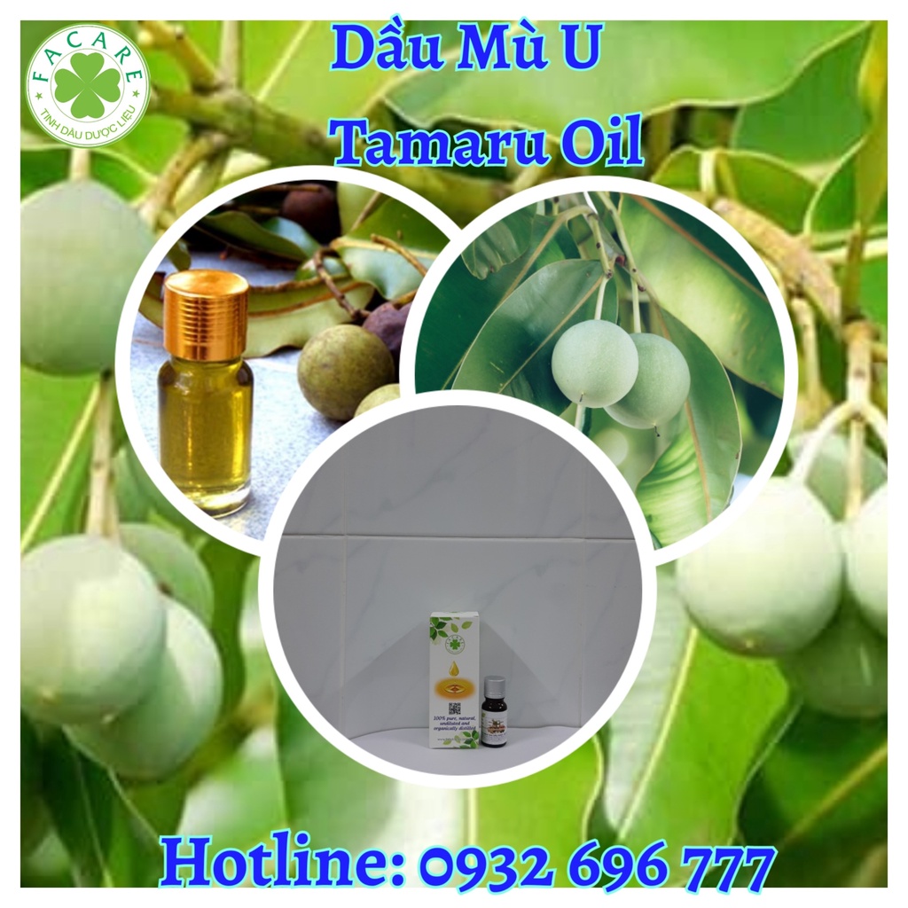Dầu mù u Tamanu oil - 100ml/500ml/1000ml | Shopee Việt Nam