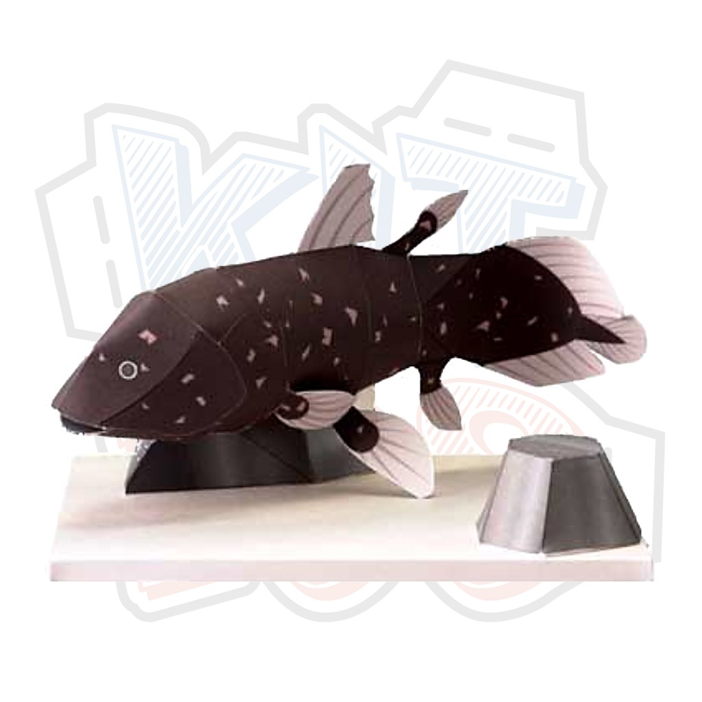 Mô hình giấy động vật cá Coelacanth ver 2 | Shopee Việt Nam