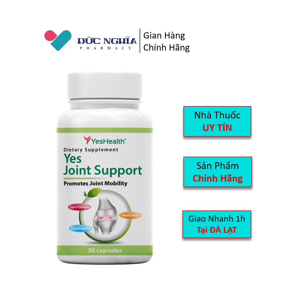 Viên Uống Hỗ Trợ Giảm Nguy Cơ Thoái Hóa Khớp YesHealth Yes Joint Support (Hộp 30 Viên) | Shopee ...