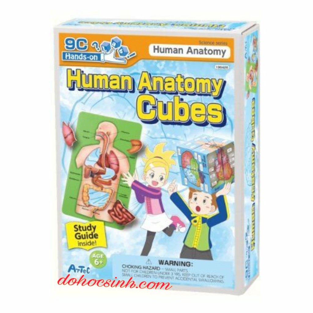 Mô hình Artec Human Anatomy Cubes | Shopee Việt Nam