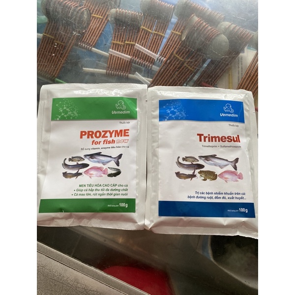 combo men tiêu hoá kết hợp nhiễm khuẩn cho cá prozym và trimesul ...