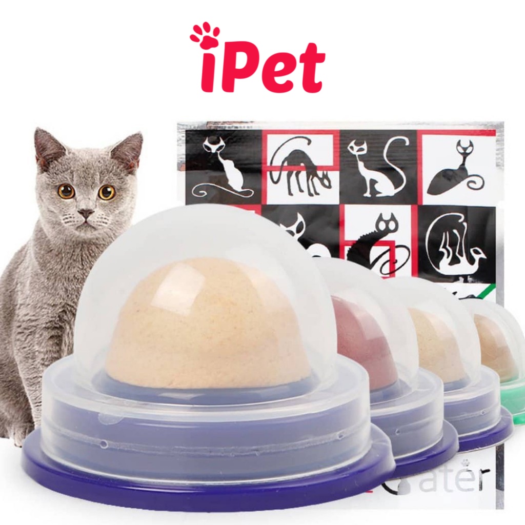 Cỏ Mèo Catnip Dán Tường Tiện Lợi Cho Mèo Liếm - iPet Shop | Shopee Việt Nam