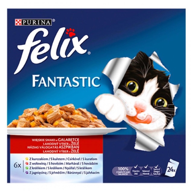 [85g] PATE FELIX HÀNG CAO CẤP CỦA PURINA GÓI 85g CHO MÈO CON VÀ MÈO ...
