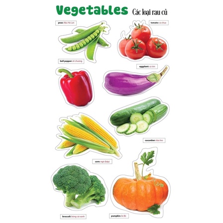 Sticker Rau củ | Shopee Việt Nam