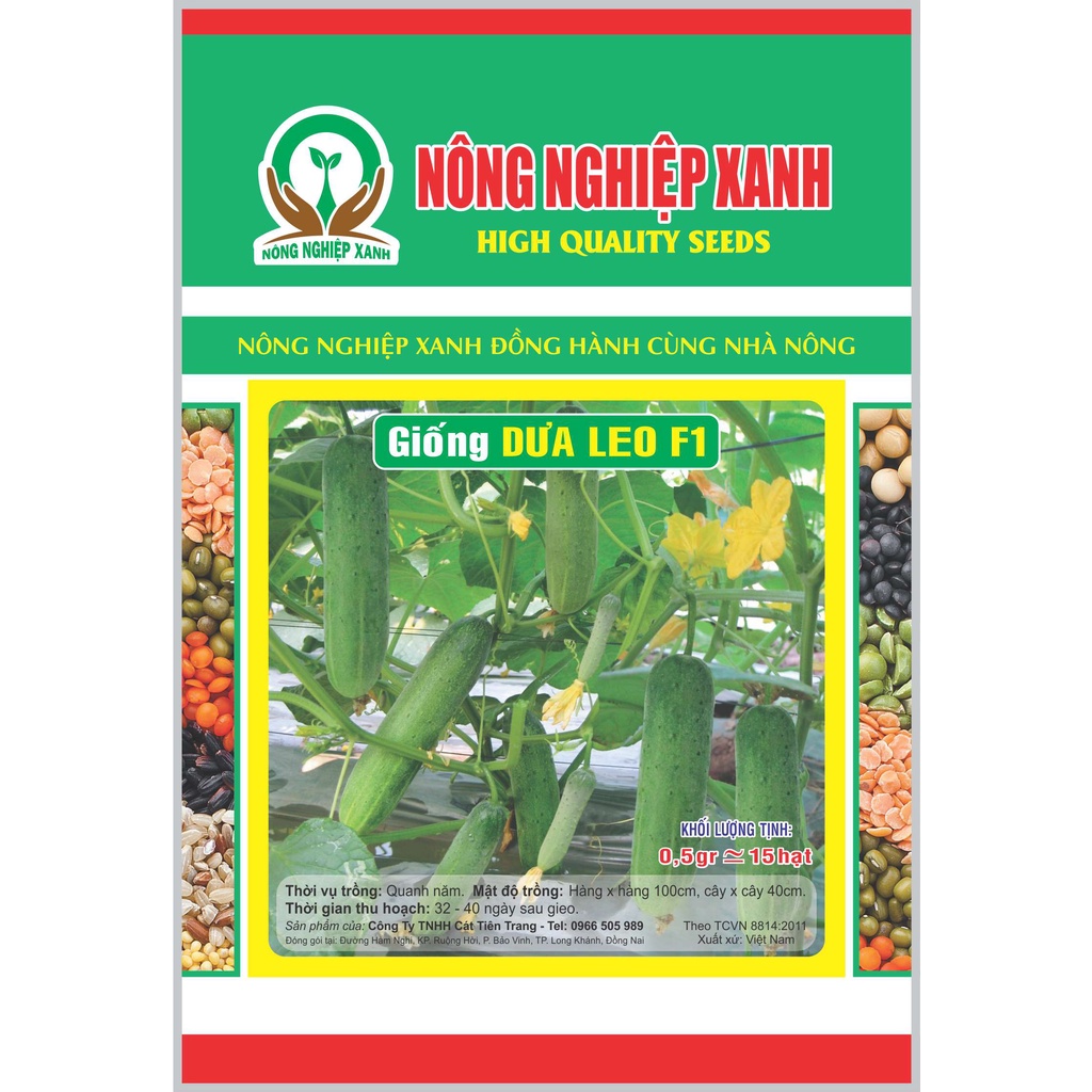 Hạt Giống Dưa Leo Dưa Chuột Lai F1 Dễ Trồng Dòn Ngọt NNX | Shopee Việt Nam