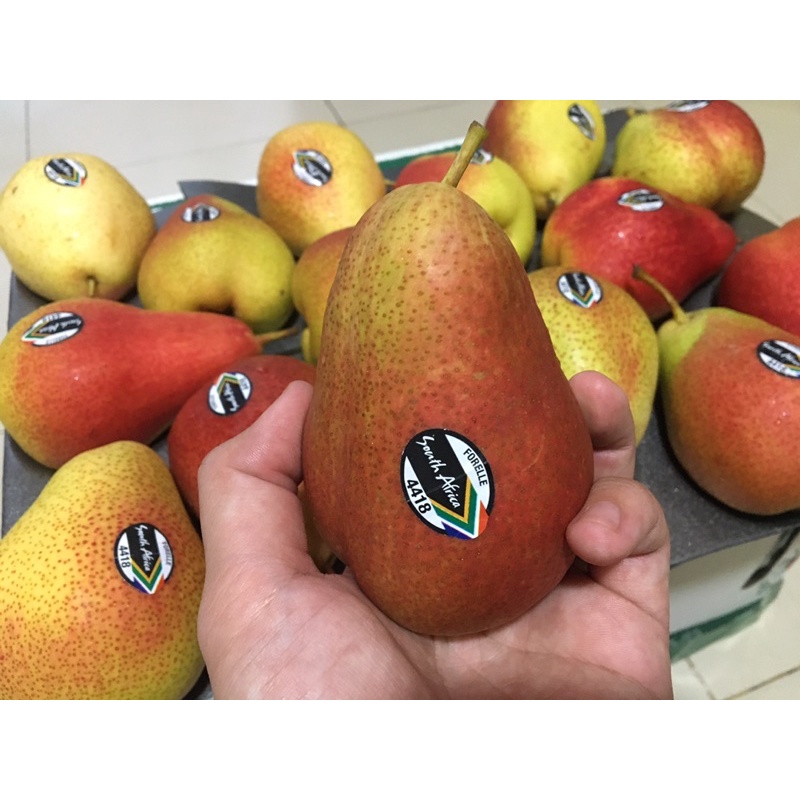 Lê Nam Phi TruCape - Giòn, Ngọt (4-5 trái/kg) | Shopee Việt Nam