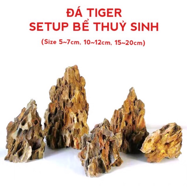 1 KG ĐÁ TIGER SETUP BỂ THUỶ SINH | Shopee Việt Nam