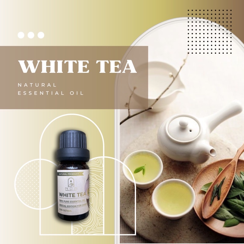 Tinh Dầu WHITE TEA Oil Nhiên Nguyên Chất Tạo Mùi Hương Chuyên Dụng Làm ...