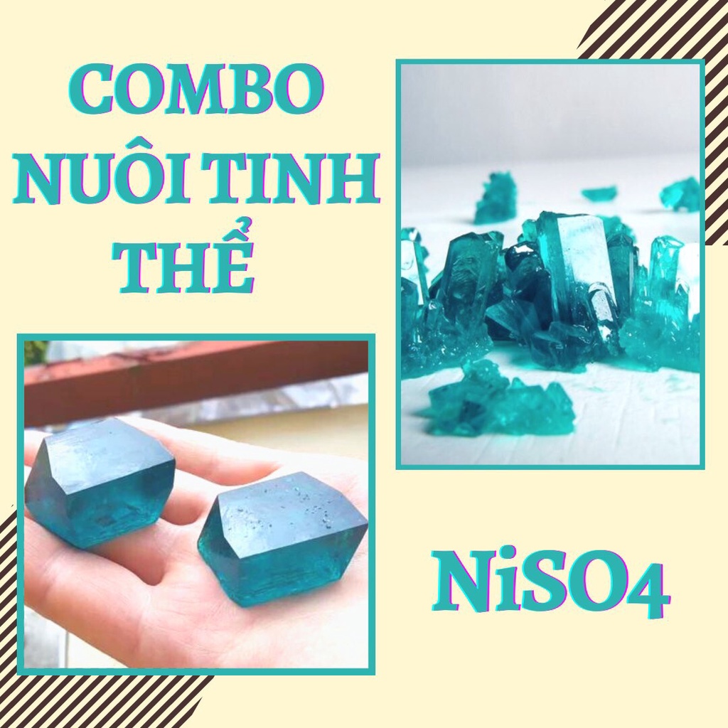 NiSO4 - 200g & 500g - Combo nuôi tinh thể Niken Sunfate kèm hướng dẫn l ...