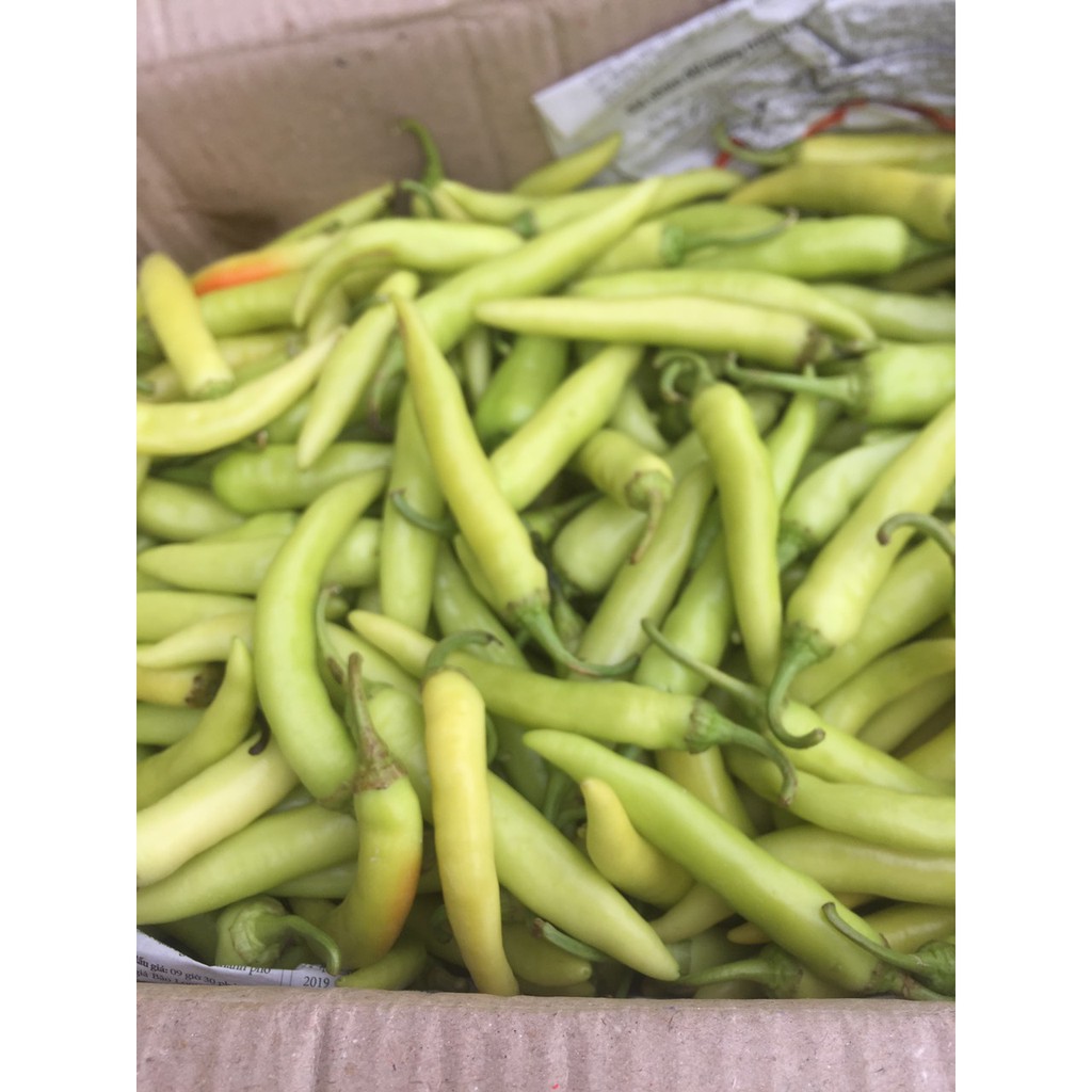 Ớt Sừng Huế đà nẵng 500g | Shopee Việt Nam