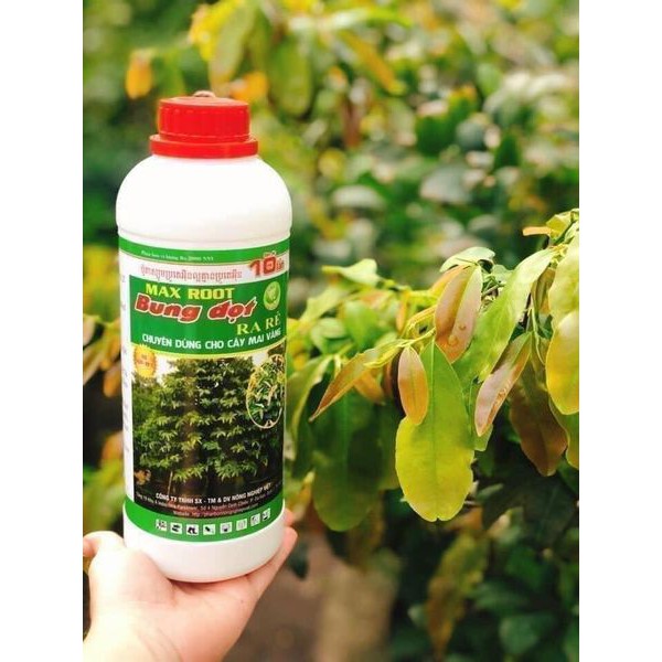 Phân Bón Max Root Bung Đọt Ra Rễ Chuyên Dùng Cho Mai Vàng Chai 1 lít | Shopee Việt Nam