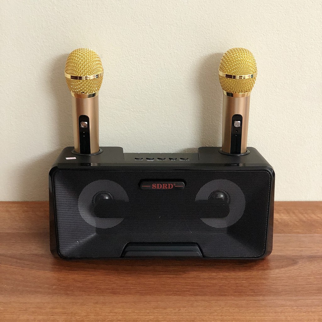 Loa Bluetooth Karaoke SDRD SD-301 | Shopee Việt Nam