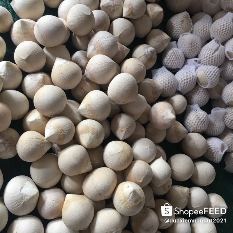dừa xiêm trọc 400 - 500g ( mua 10 tặng 10 khăn lạnh ) | Shopee Việt Nam