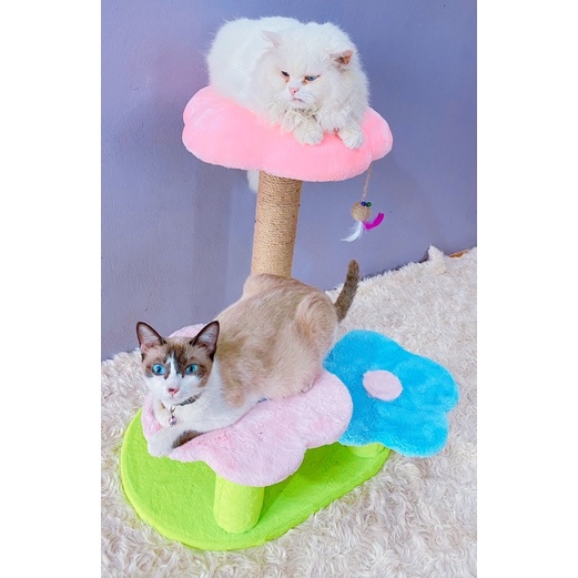 [ cattree hoa ] catree leo trèo cho mèo ( tặng kèm pate 60g ) | Shopee ...