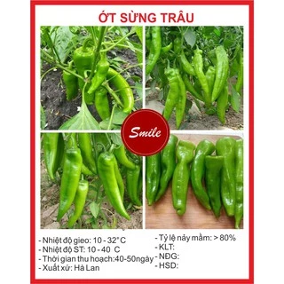 ớt sừng trâu giá tốt Tháng 12, 2024 | Mua ngay | Shopee Việt Nam