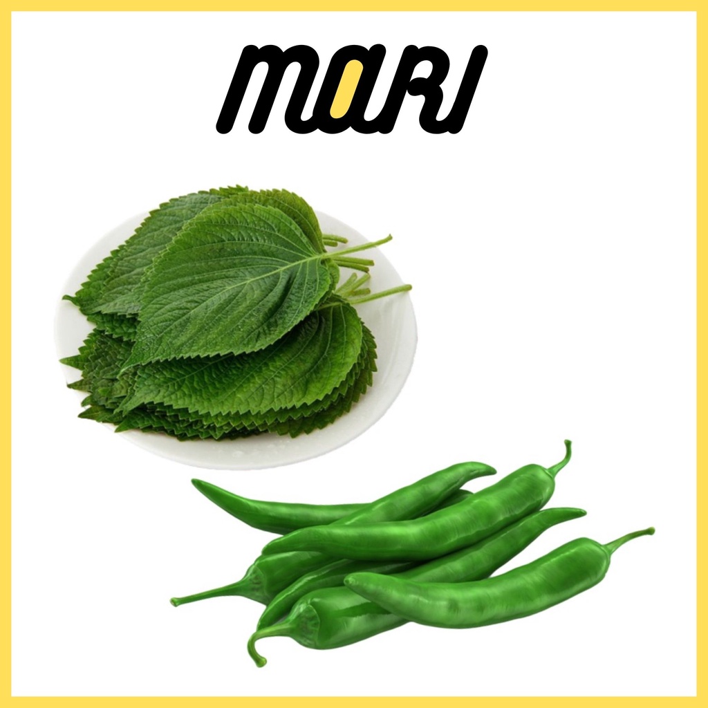 [ship HCM] Lá mè Hàn Quốc ăn thịt nướng BBQ/ Ớt sừng xanh/Sốt chấm thịt ...