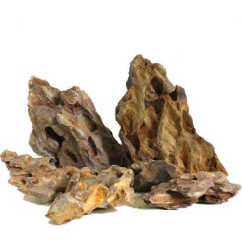 Đá Tiger 1Kg | Shopee Việt Nam