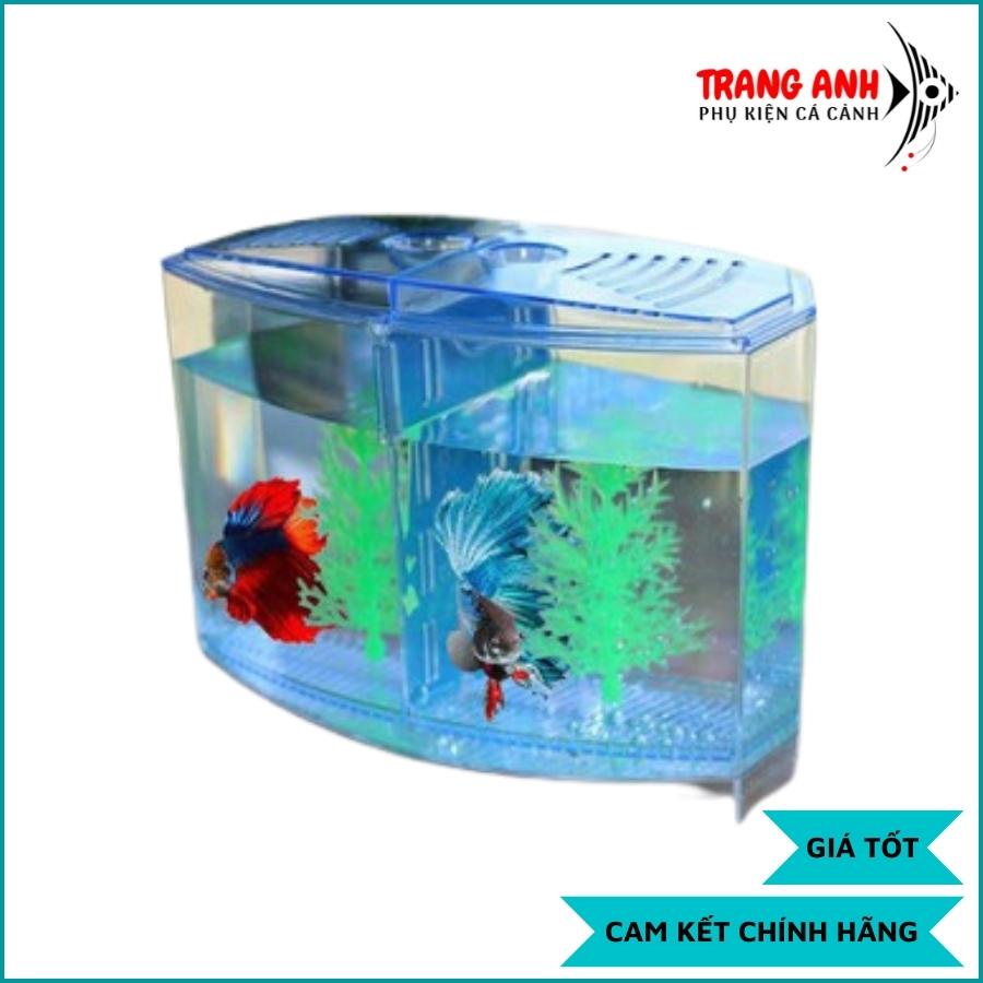 Bể Cá Mini 2 Ngăn - Bể Nuôi Cá Betta nhỏ gọn bằng Nhựa Mica siêu trong ...