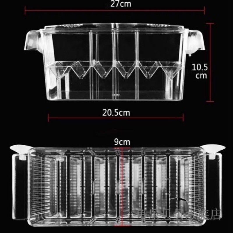Lồng đẻ mica cho cá cảnh để cách ly và dưỡng cá con - lồng mica cá cảnh ...