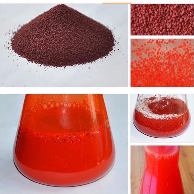 Carophyll DSM THUỴ SỸ (10% ) bột kích đỏ cho cá cảnh | Shopee Việt Nam