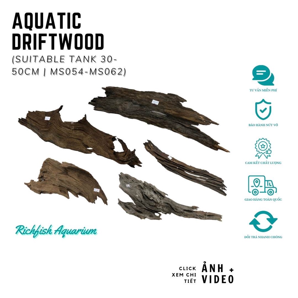 Gỗ lũa dùng setup layout bể cá cảnh thủy sinh từ 30-60cm (Ms054-Ms062 ...