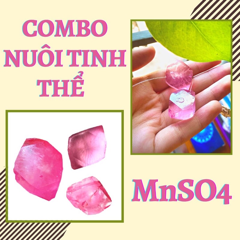 MnSO4 - Combo nuôi tinh thể Mangan Sunfat kèm hướng dẫn l Tcrystalstore ...