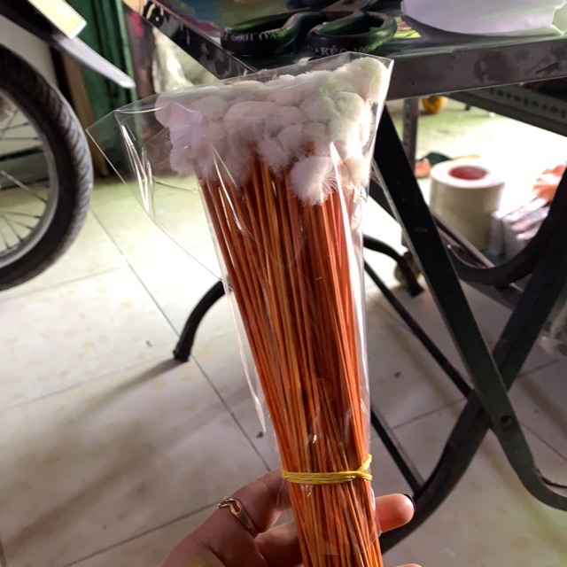 1 Cây se tai 4k | Shopee Việt Nam