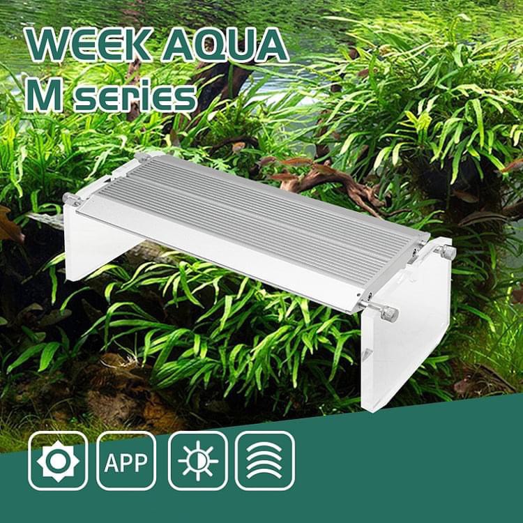 Đèn WRGB Week Aqua Pro series M450, M600 | Shopee Việt Nam