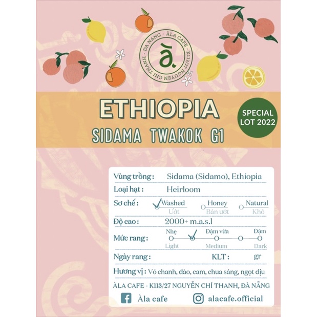Cà phê Specialty Ethiopia Twakok G1 đặc sản | Shopee Việt Nam