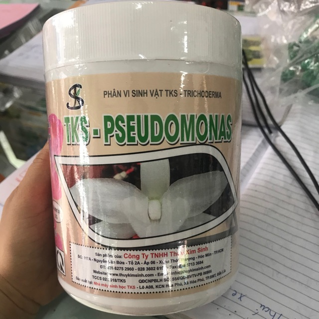 Phân vi sinh vật TKS- PSEUDOMONAS- hộp 1kg | Shopee Việt Nam