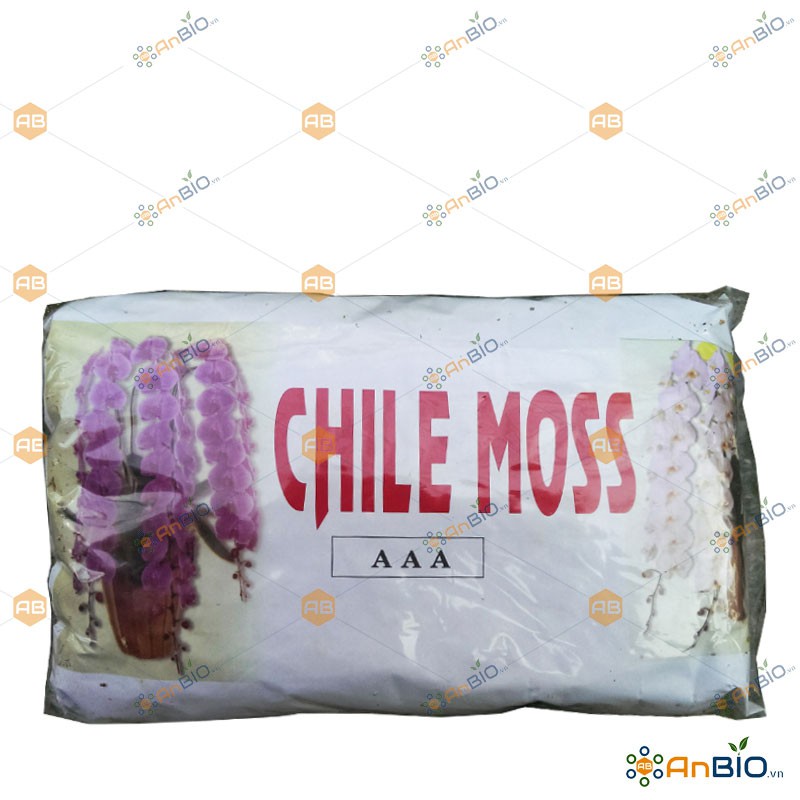 DỚN TRẮNG CHILE MOSS AAA Gói 100g GIÁ THỂ TRỒNG LAN - A6.1003 | Shopee Việt Nam