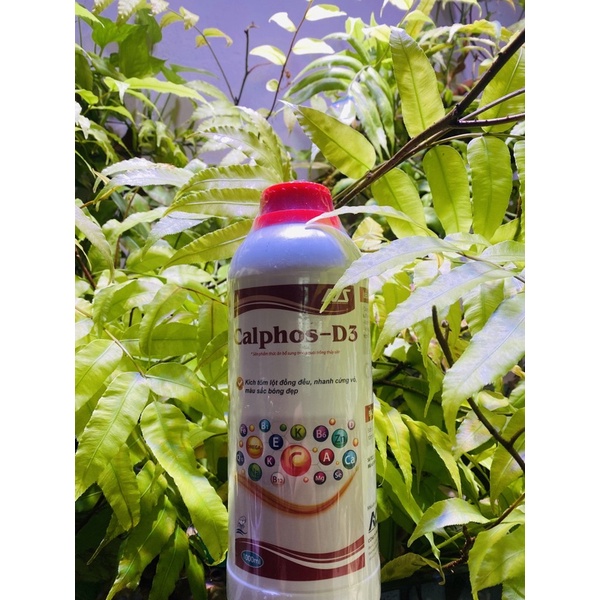 khoáng vi đa lượng cao cấp calphos d3 | Shopee Việt Nam