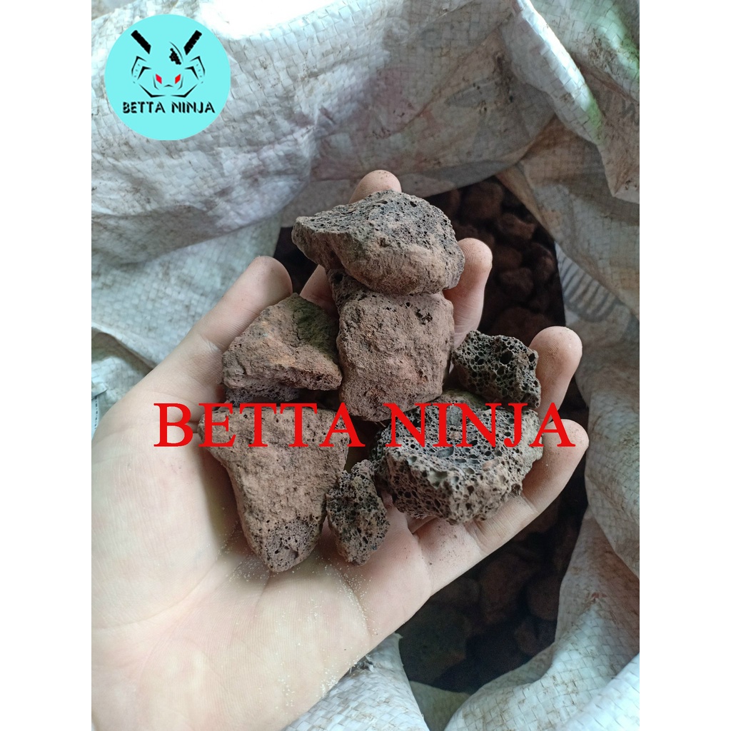 ĐÁ NHAM THẠCH VẬT LIỆU LỌC CHO HỒ CÁ/BETTA NINJA | Shopee Việt Nam