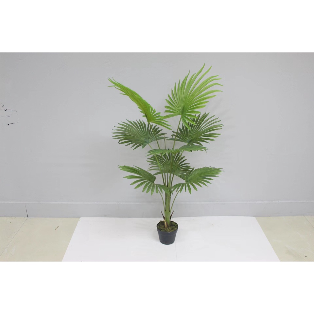 Cây cọ giả, cây cọ cảnh trang trí size 1m2 Vinagreen decor (chưa bao ...