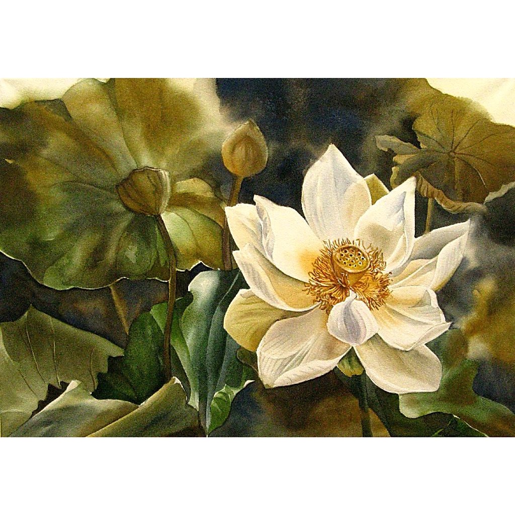 Tranh hoa sen - in canvas kích thước 60x90 ( đủ khung) | Shopee Việt Nam