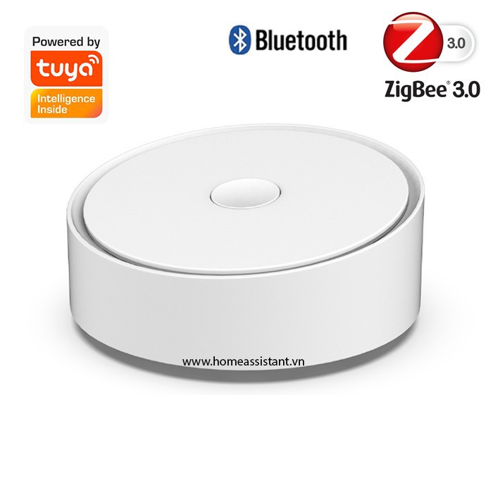 Trung Tâm Hub Zigbee 3.0 Bluetooth BLE Mesh Wifi Tuya ZBG-01 (Smart Life) | Shopee Việt Nam